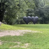 Battle Road Trail, Massachusetts - 1,001 Reviews, Map | AllTrails