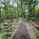 Battle Road Trail, Massachusetts - 1,001 Reviews, Map | AllTrails