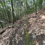 Battle Road Trail, Massachusetts - 1,001 Reviews, Map | AllTrails