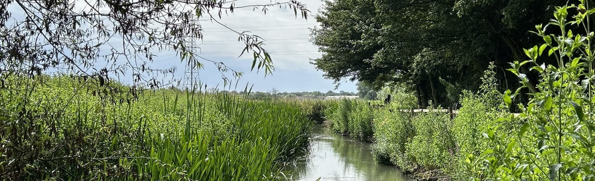 Ducklington and Witney Lake Circular, Oxfordshire, England - 11 Reviews ...