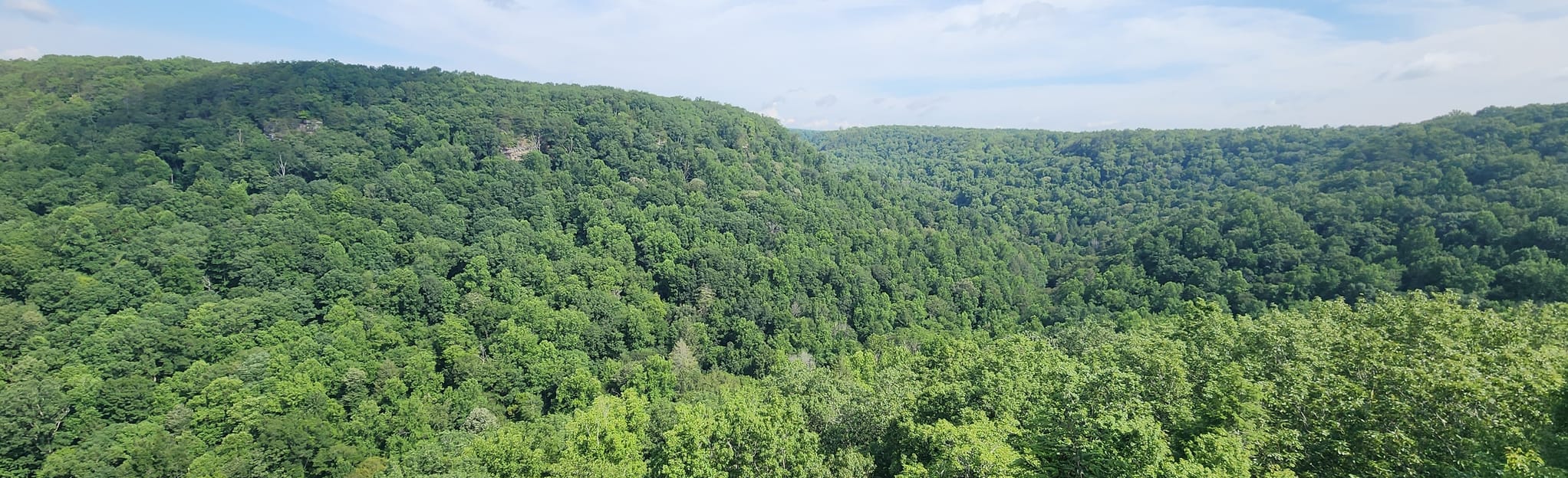 Fiery Gizzard Trail to Raven's Point: 1,066 Reviews, Map - Tennessee ...