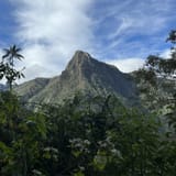 Cocora Valley Loop, Quindío, Colombia - 195 Reviews, Map | AllTrails