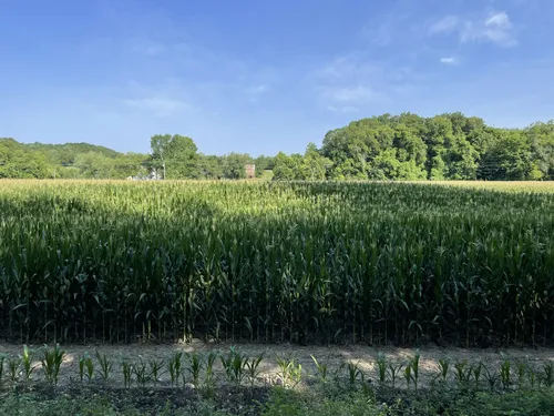 2023 Best 10 Easy Trails in Katy Trail State Park | AllTrails