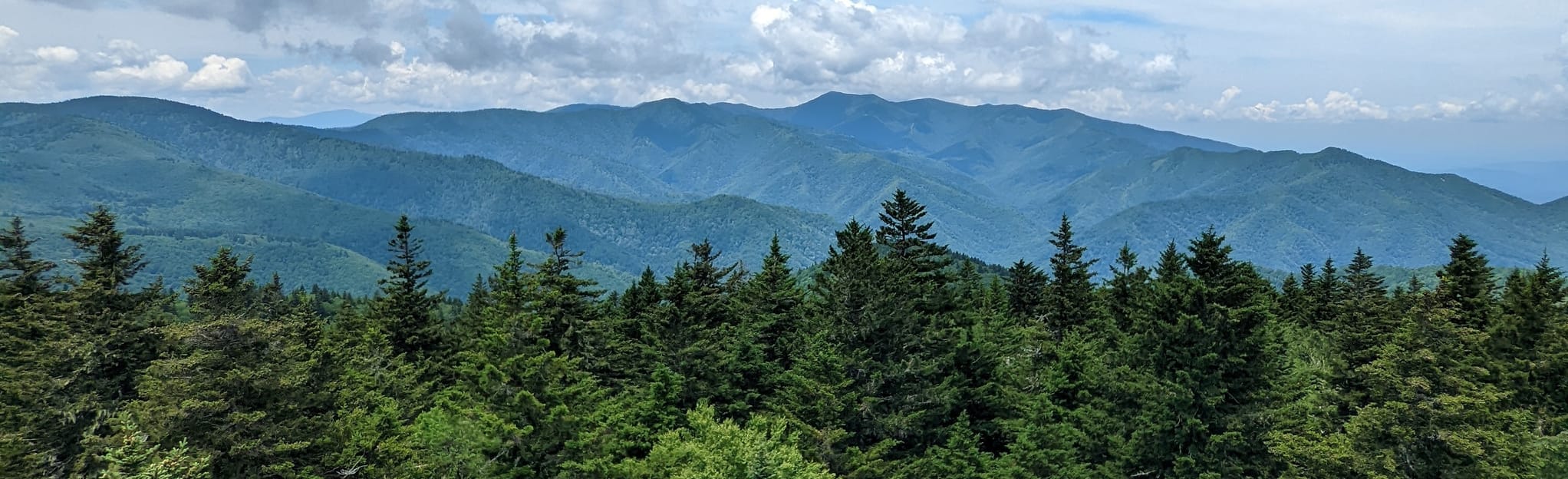 AllTrails | Mt. Sterling via Baxter Creek Trail: 339 Reviews, Map ...