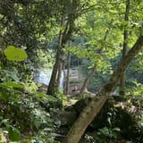 Compression Falls Trail, North Carolina - 358 Reviews, Map | AllTrails