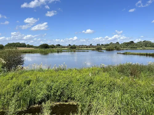Best Hikes and Trails in Doxey Marshes | AllTrails