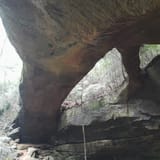 Natural Bridge Park Loop, Alabama - 302 Reviews, Map | AllTrails