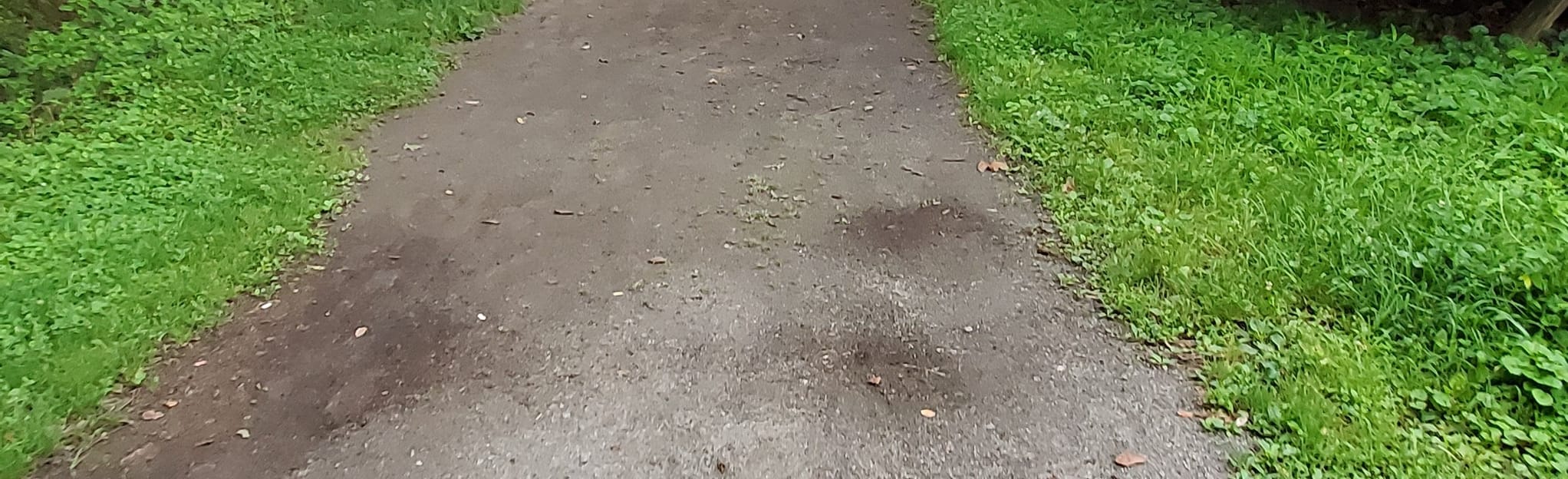 Thomas E. May Park via Morris Canal Greenway, New Jersey - 44 Reviews ...