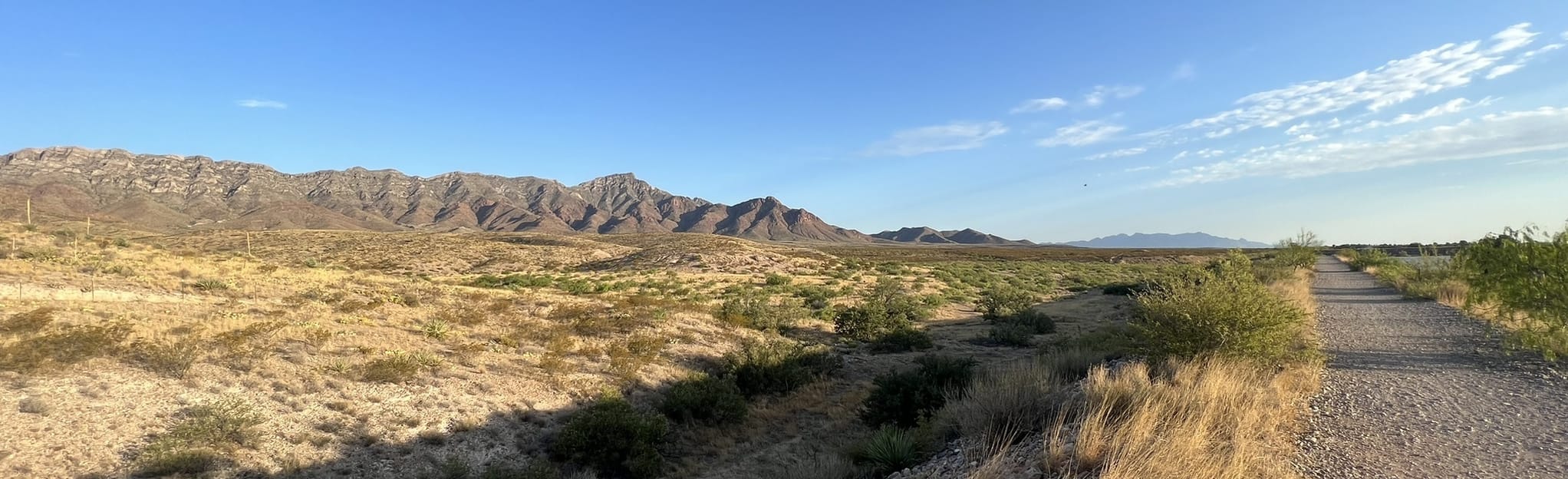 Lazy Cow and Mad Cow Trails Loop: 180 Reviews, Map - Texas | AllTrails