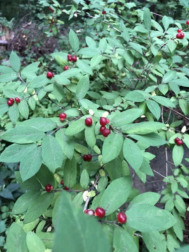 Best Hikes and Trails in Phil and Ginny Leach Wildlife Sanctuary ...