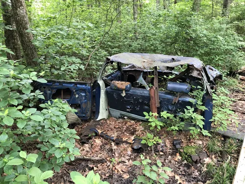 Best Hikes and Trails in Phil and Ginny Leach Wildlife Sanctuary ...