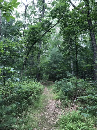 Best Hikes and Trails in Phil and Ginny Leach Wildlife Sanctuary ...