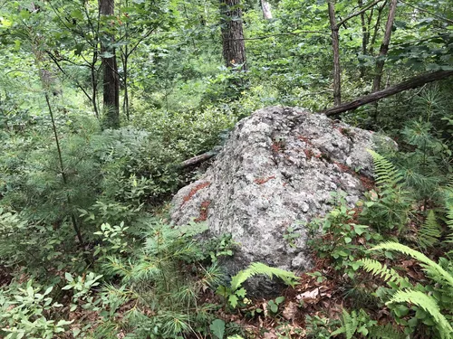 Best Hikes and Trails in Phil and Ginny Leach Wildlife Sanctuary ...