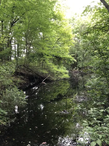 Best Hikes and Trails in Phil and Ginny Leach Wildlife Sanctuary ...