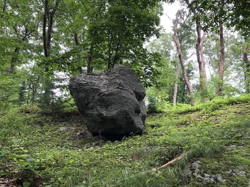 Best Hikes and Trails in Phil and Ginny Leach Wildlife Sanctuary ...