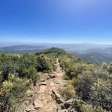 Verna Dunshee Trail and Plank Trail at Mount Tam East Peak, California ...