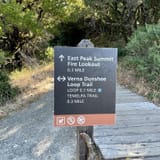 Verna Dunshee Trail and Plank Trail at Mount Tam East Peak, California ...