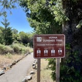 Verna Dunshee Trail and Plank Trail at Mount Tam East Peak, California ...