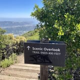 Verna Dunshee Trail and Plank Trail at Mount Tam East Peak, California ...