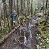 Esther Mountain Trail [CLOSED], New York - 58 Reviews, Map | AllTrails