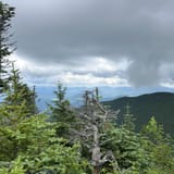 Esther Mountain Trail [CLOSED], New York - 58 Reviews, Map | AllTrails