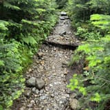 Esther Mountain Trail [CLOSED], New York - 58 Reviews, Map | AllTrails