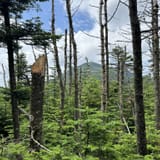 Esther Mountain Trail [CLOSED], New York - 58 Reviews, Map | AllTrails