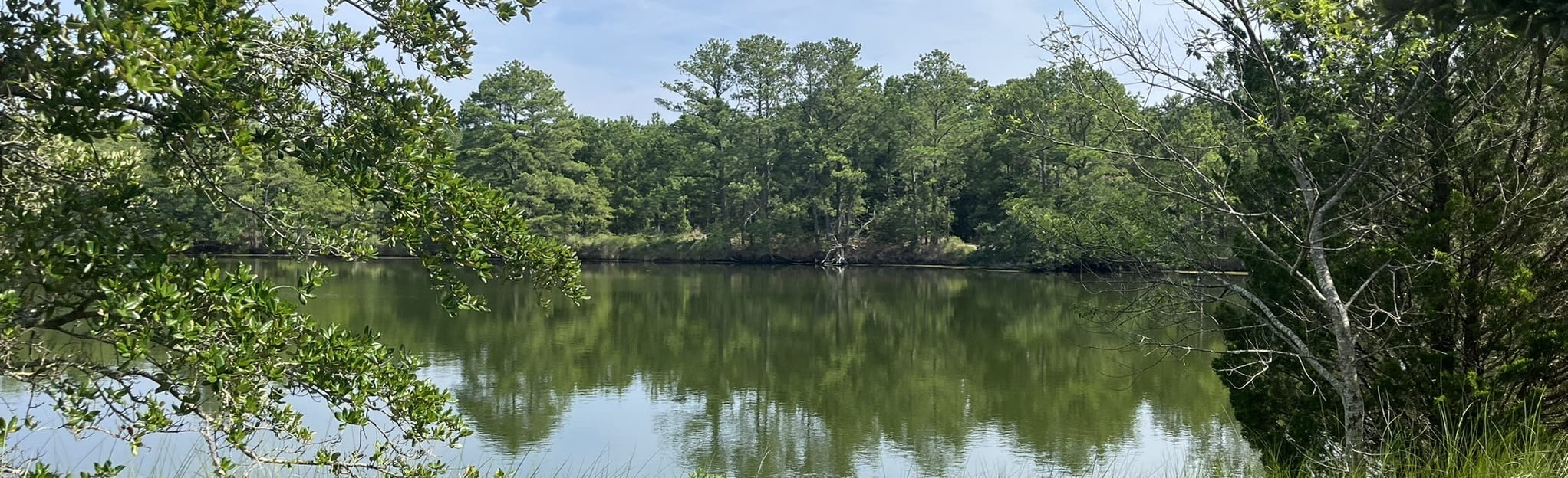 Pleasure House Point Loop: 581 Reviews, Map - Virginia | AllTrails