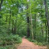 Lost Canyon Trail, Wisconsin - 863 Reviews, Map | AllTrails