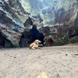 Dames Cave, Florida - 530 Reviews, Map | AllTrails