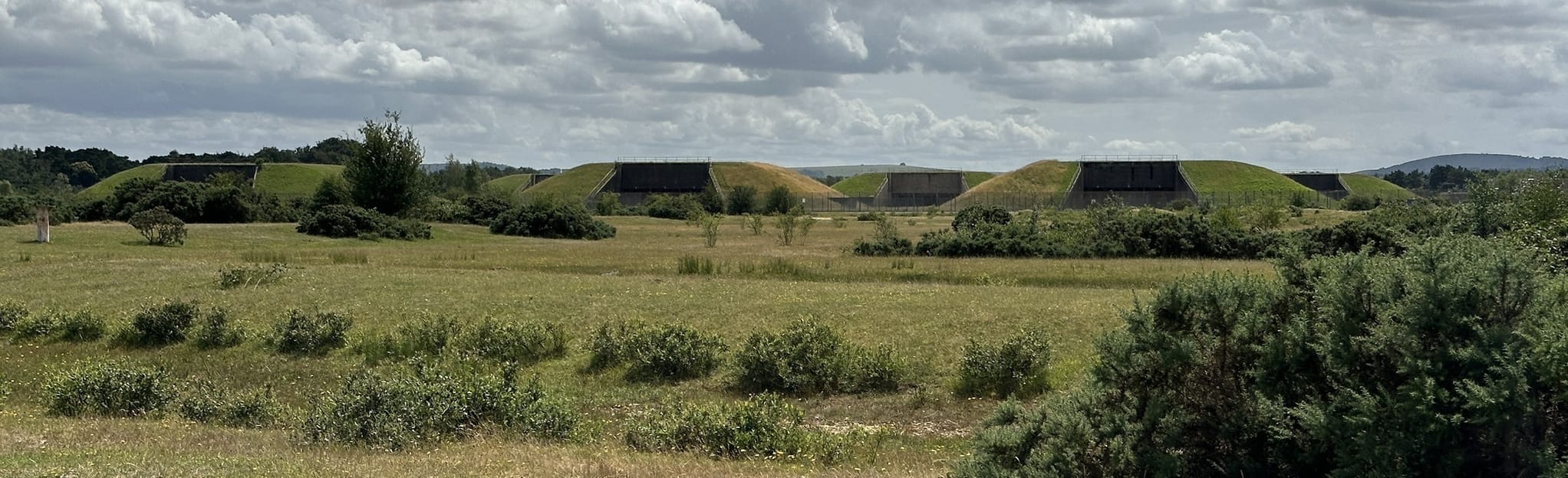 Greenham Common Circular, Berkshire, England - 147 Reviews, Map | AllTrails