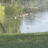 Clearbrook Lake Loop, Virginia - 152 Reviews, Map | AllTrails