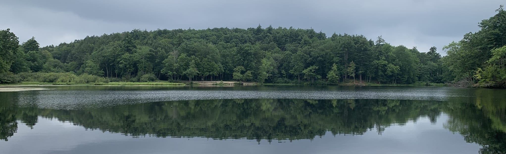 Puffers Pond, Massachusetts - 95 Reviews, Map | AllTrails