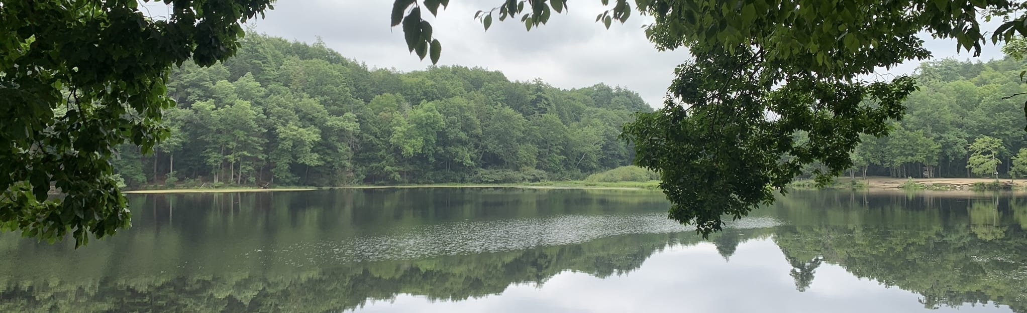 Puffers Pond to Atkins Reservoir via Robert Frost Trail, Massachusetts ...