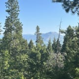 Triple Tree Trail, Montana - 1,076 Reviews, Map | AllTrails