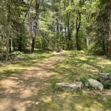 Battle Road Trail, Massachusetts - 1,001 Reviews, Map | AllTrails