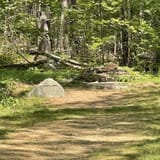 Battle Road Trail, Massachusetts - 1,001 Reviews, Map | AllTrails