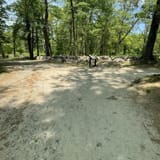 Battle Road Trail, Massachusetts - 1,001 Reviews, Map | AllTrails