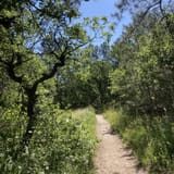 Memmen Ridge Open Space Trail, Colorado - 266 Reviews, Map | AllTrails