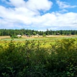 Larry Scott Trail, Washington - 377 Reviews, Map | AllTrails