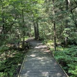 Machickanee Forest Northwest Loop, Wisconsin - 152 Reviews, Map | AllTrails