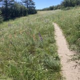 Memmen Ridge Open Space Trail, Colorado - 266 Reviews, Map | AllTrails