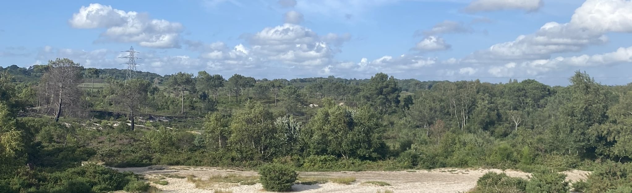 Upton Heath Circular, Dorset, England - 46 Reviews, Map | AllTrails