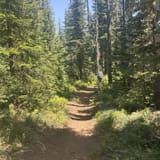 Duffy Lake Trail, Oregon - 371 Reviews, Map | AllTrails