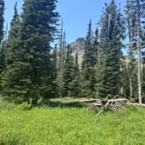 Duffy Lake Trail, Oregon - 371 Reviews, Map | AllTrails