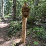 Duffy Lake Trail, Oregon - 371 Reviews, Map | AllTrails