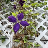 Ohio and Erie Canal Towpath: Botzum to Everett, Ohio - 761 Reviews, Map ...