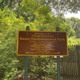 Bauer Environmental Park Loop, New York - 195 Reviews, Map | AllTrails