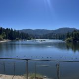 Lake Gregory Trail, California - 1,438 Reviews, Map | AllTrails