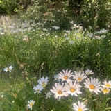 Red Butte Gardens Small Loop, Utah - 289 Reviews, Map | AllTrails